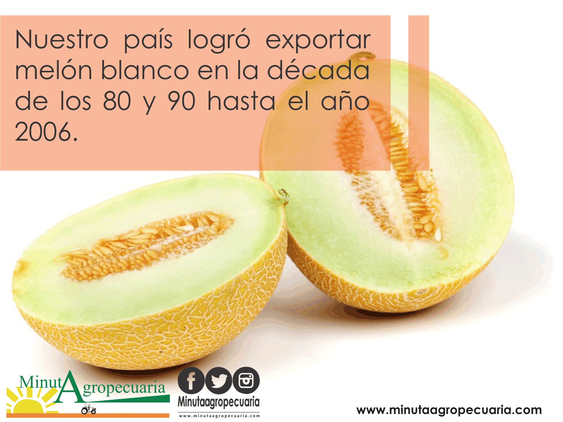 El melón es la sexta fruta más producida en Venezuela - Minuta Agropecuaria