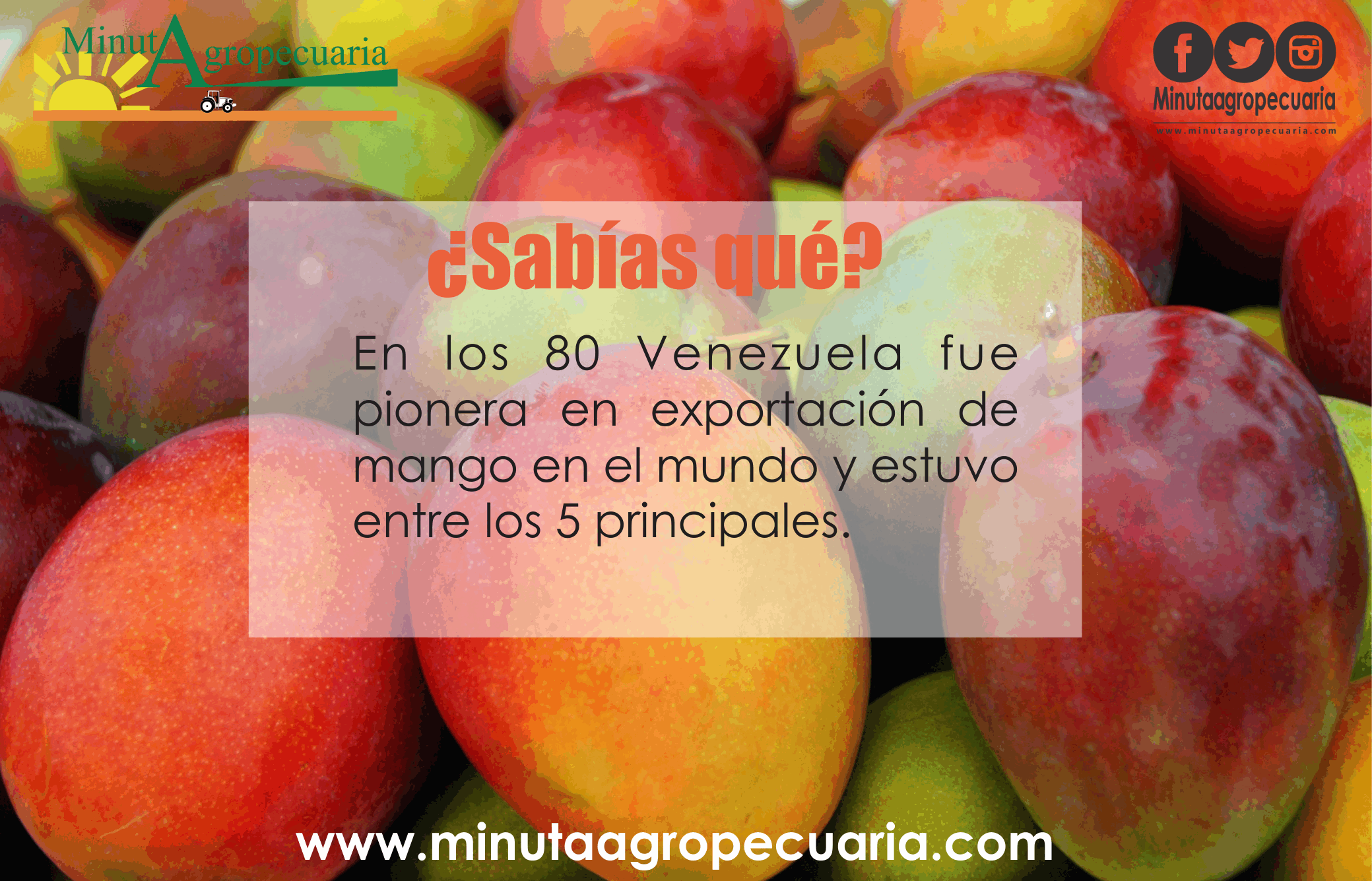 Venezuela en los años 80 fue la pionera en exportación de mango en el ...