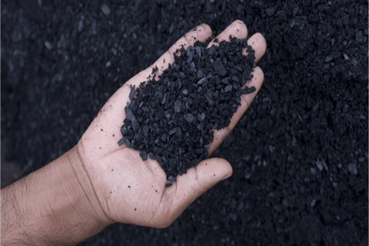 Biocarbón incrementa nuevos mercados rentables para la agricultura y la ...