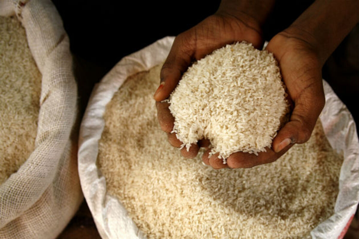Más de 50 mil toneladas de arroz exportará Ecuador a Colombia - Minuta ...
