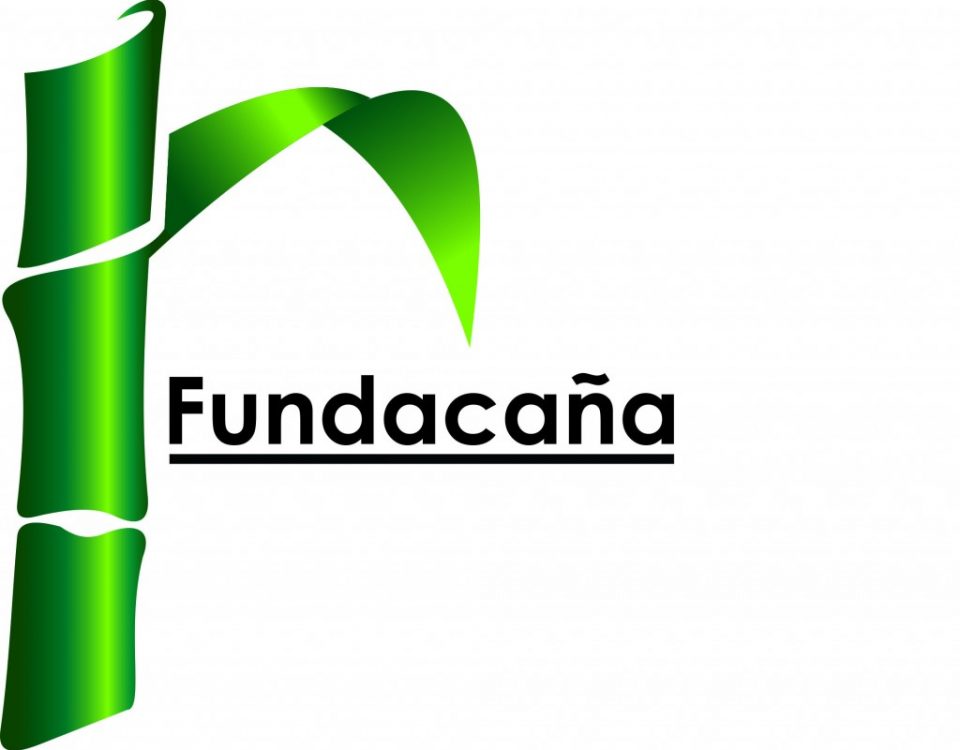 Fundación | Central Azucarero Portuguesa arriba a sus 56 años - Minuta ...